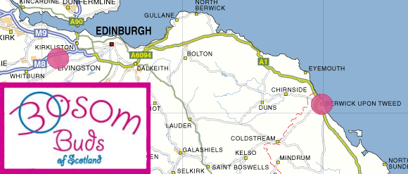 The Official Website of Livingston Football Club