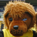 The Official Website of Livingston Football Club
